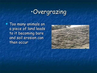 Causes of Poor Food Supply | PPT