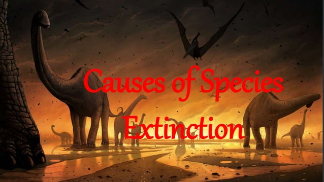 causes-of-species-extinction 2.pptx