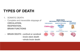 CAUSES OF DEATH forensic medicine ppt fm | PDF
