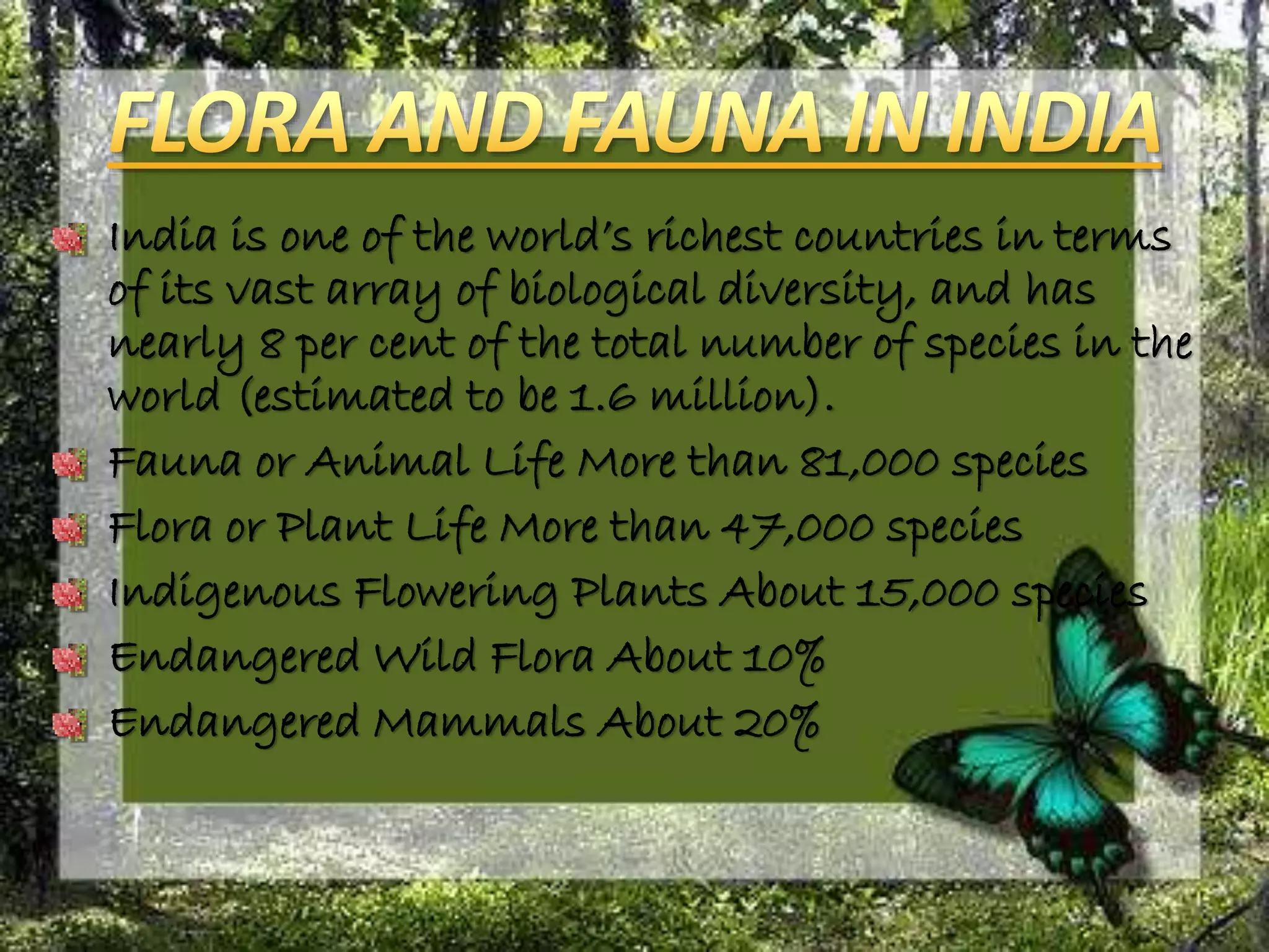 Forest And Wildlife Resources | PPT