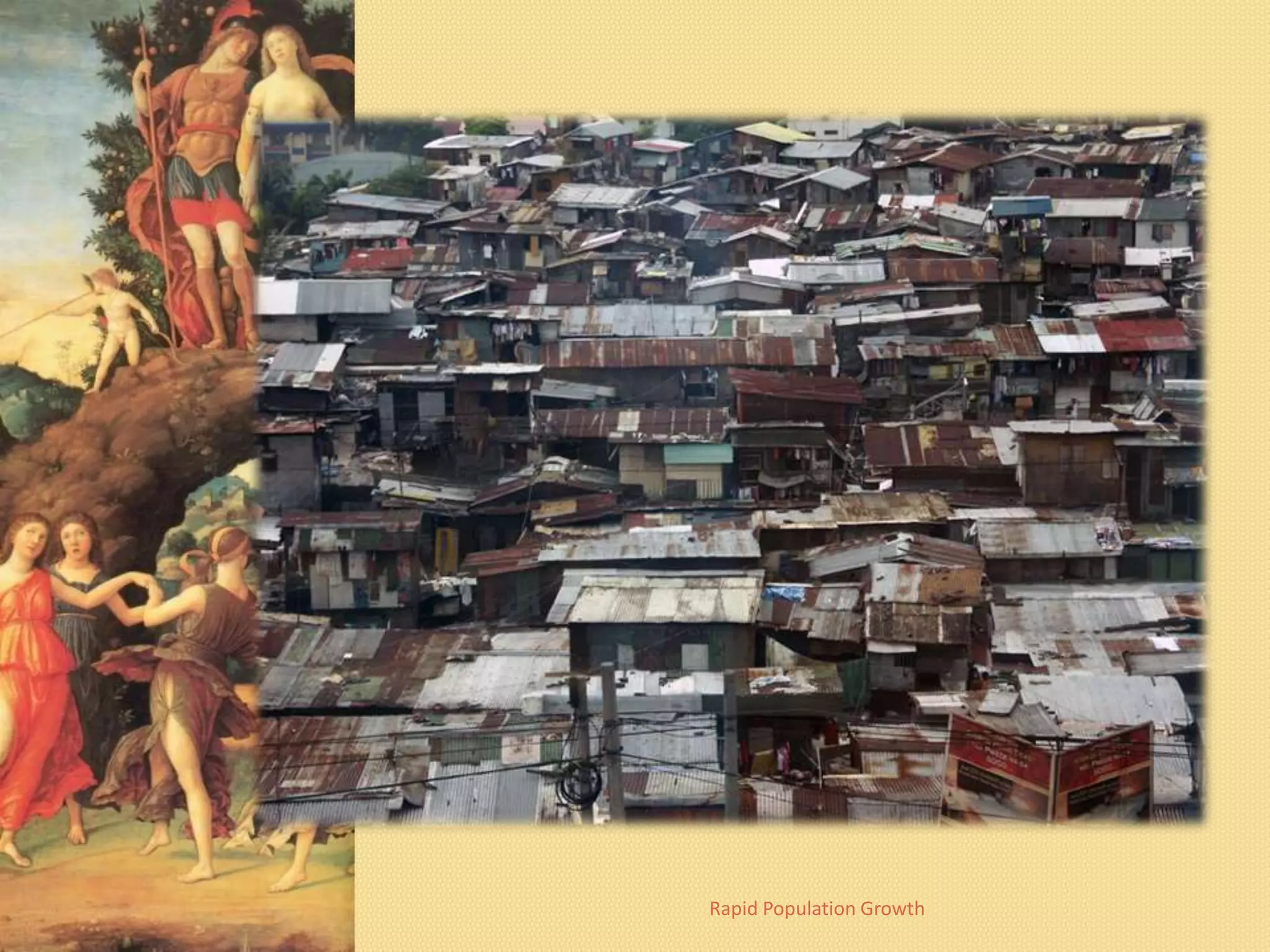 Causes and Consequences of Rapid Population Growth | PPTX