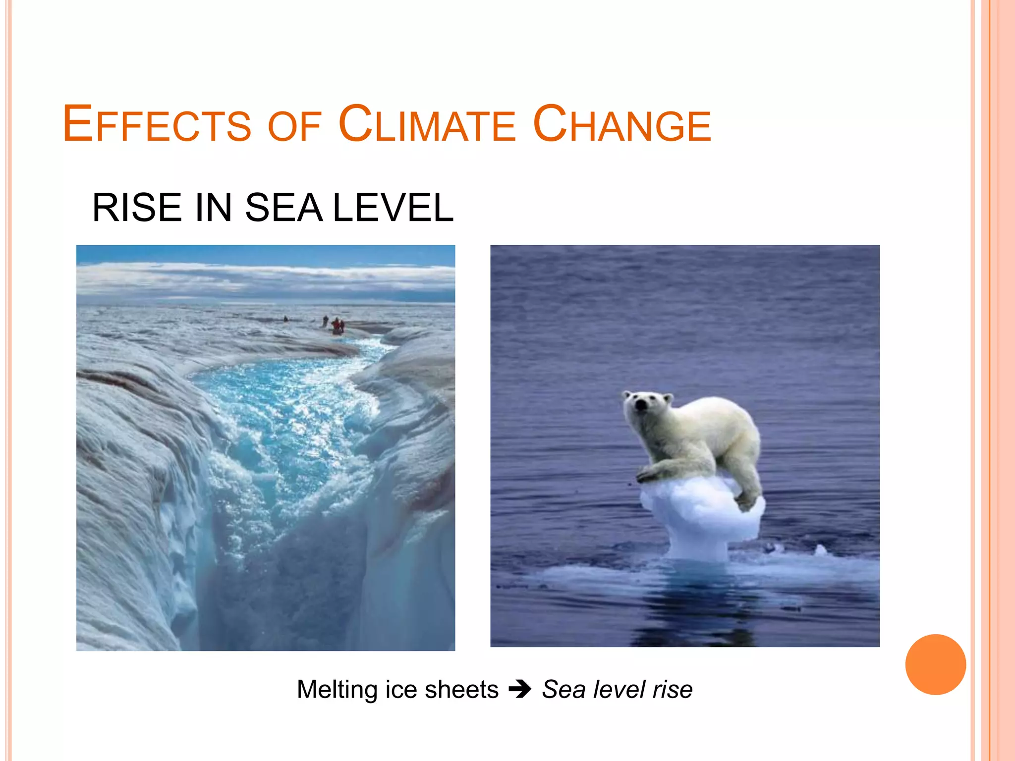 Causes and effects of climate change | PPTX