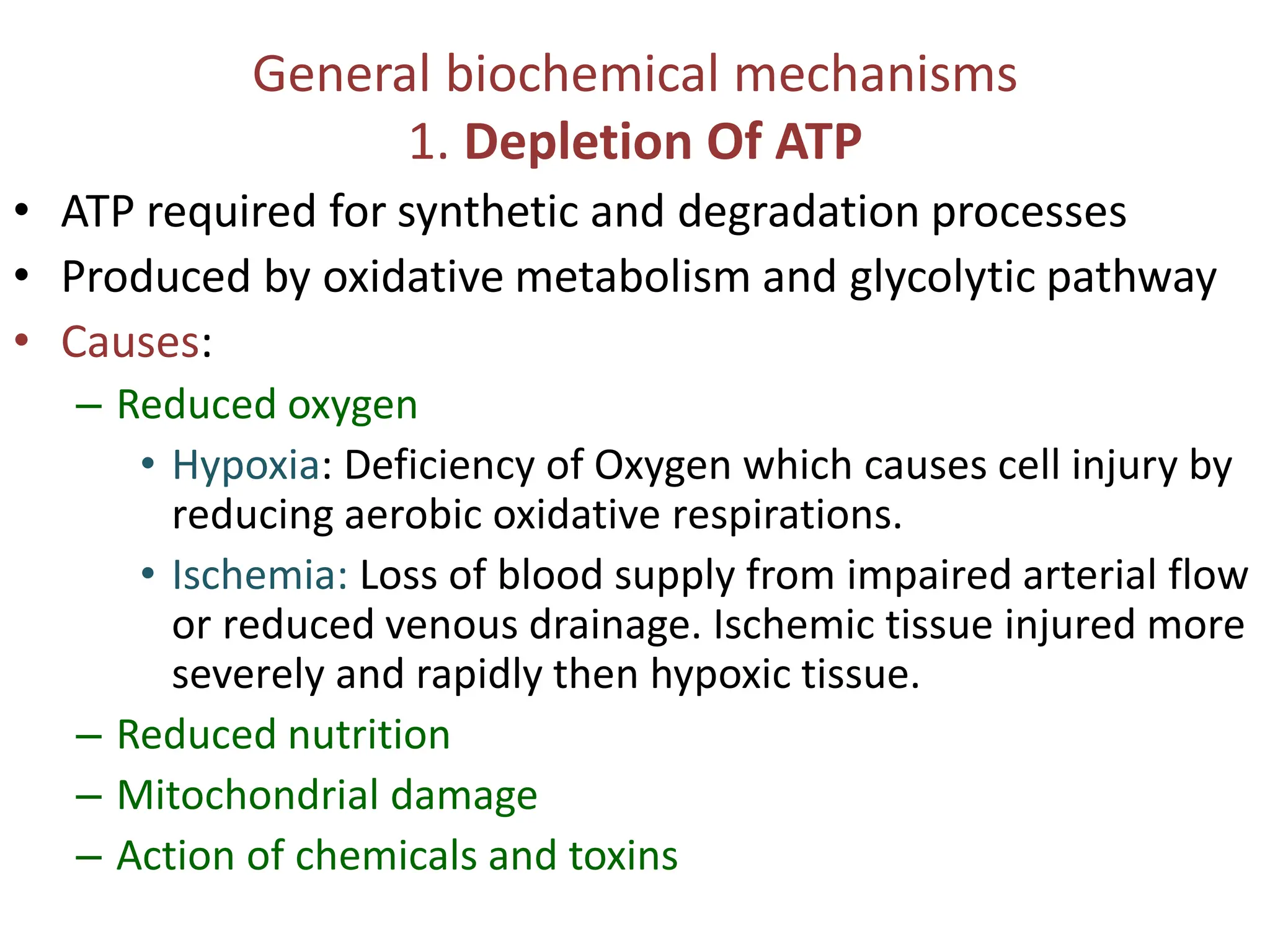 Causes and Mechanism of Cell Iinjury.pdf