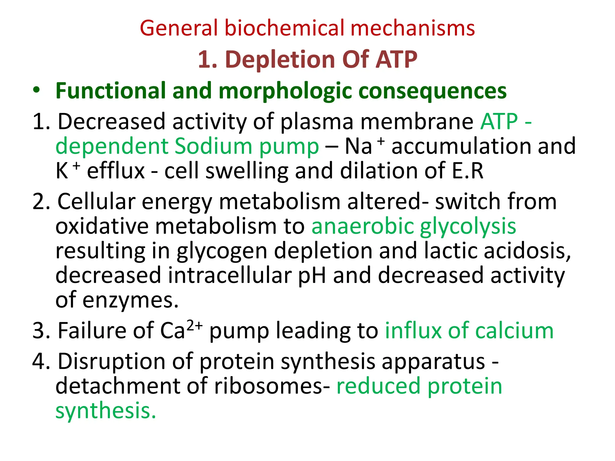 Causes and Mechanism of Cell Iinjury.pdf