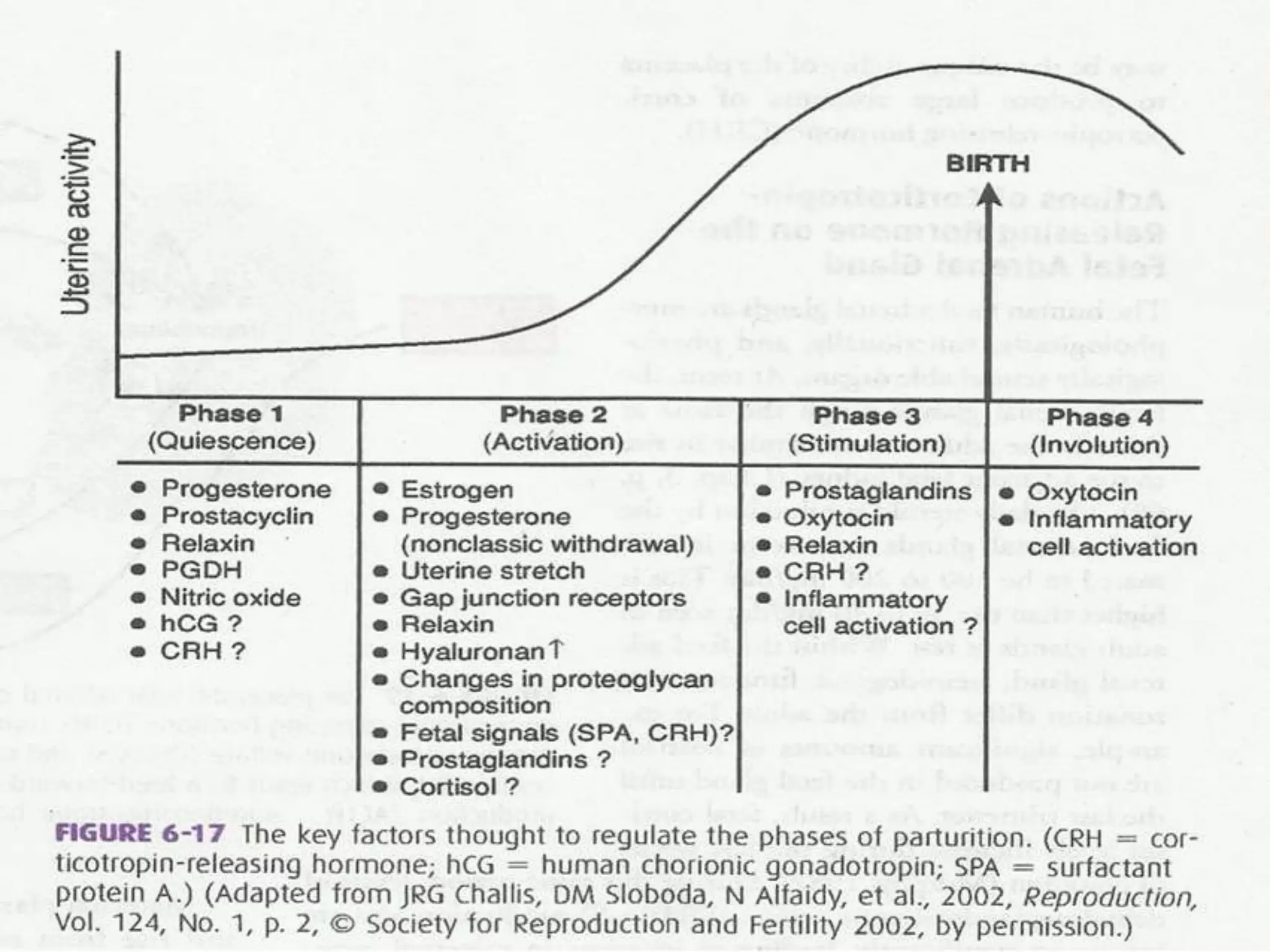 Causes and onset of labour | PPTX