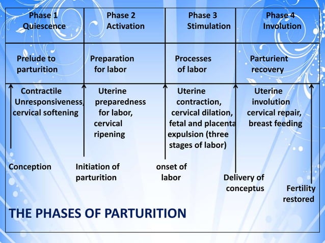 Causes and onset of labour | PPTX | Pregnancy | Reproductive Health