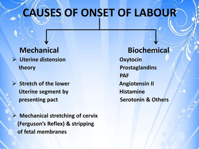 Causes and onset of labour | PPTX | Pregnancy | Reproductive Health