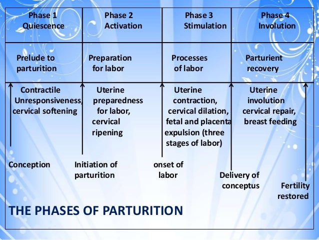Causes and onset of labour