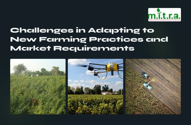 Causes and Solutions for Low Agricultural Productivity in India in 2025.pdf