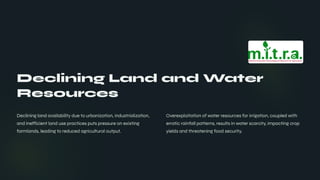 Causes and Solutions for Low Agricultural Productivity in India in 2025.pdf