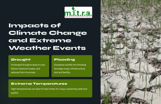 Causes and Solutions for Low Agricultural Productivity in India in 2025.pdf