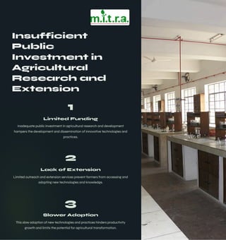 Causes and Solutions for Low Agricultural Productivity in India in 2025.pdf