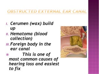 Causes and Treatment of Hearing Loss | PDF