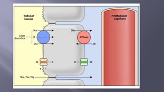 Causes and treatment of refractory edema in adults.pptx