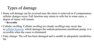 Causes and Types of cell injury.pptx