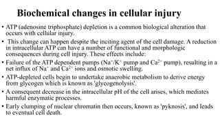 Causes and Types of cell injury.pptx