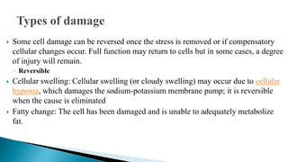 Causes and Types of cell injury.pptx