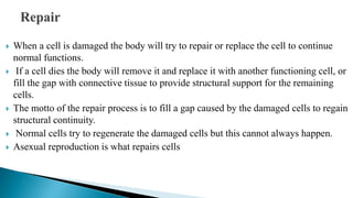 Causes and Types of cell injury.pptx
