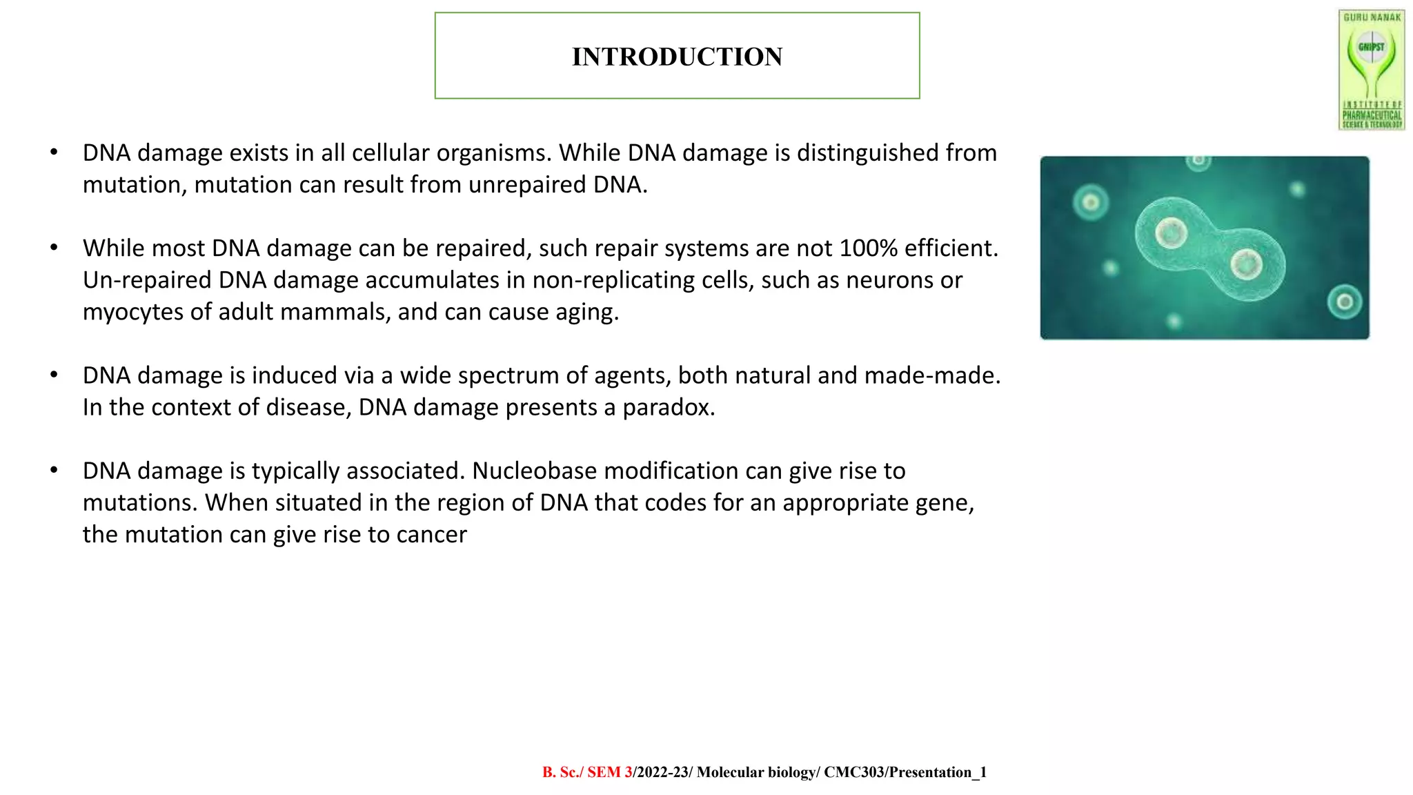 Causes and types of DNA damage.pptx
