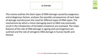 Causes and types of DNA damage.pptx
