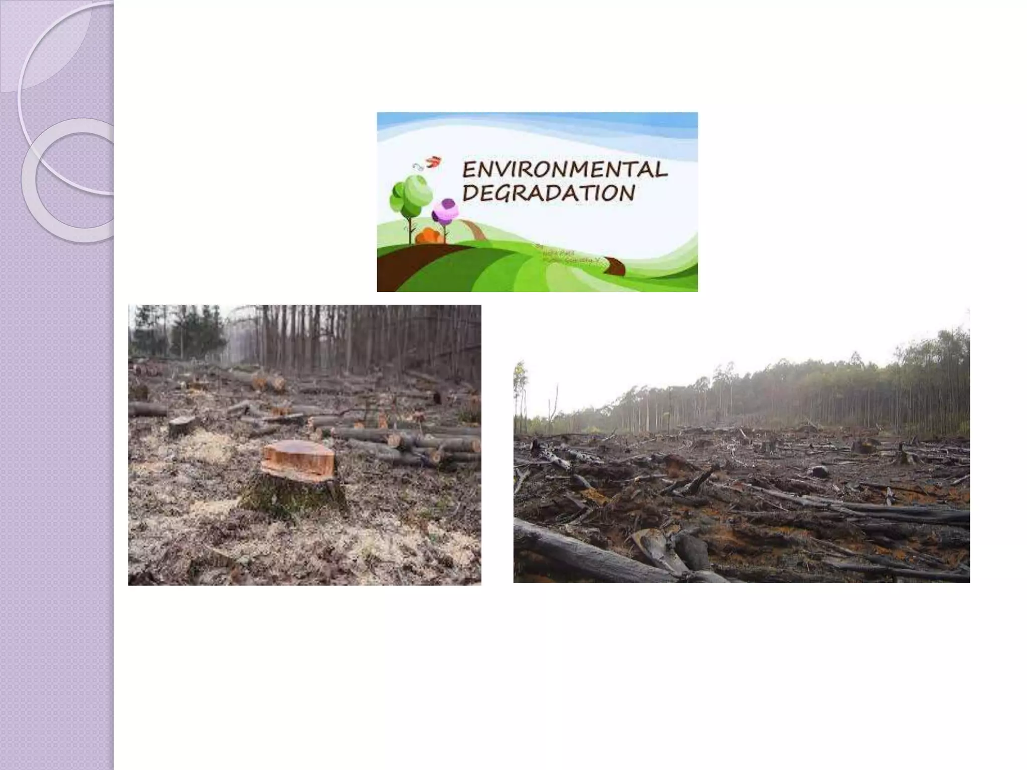 Causes for low productivity in Agriculture and Measures to Improve | PPTX