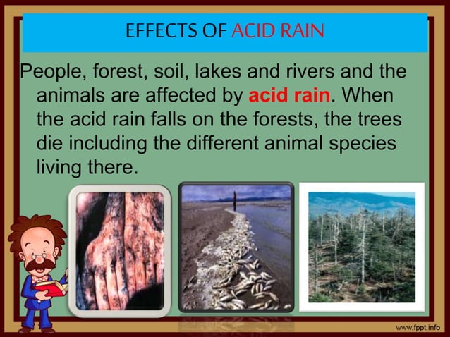 Causes of Acid Rain and Its Effects | PPTX | Environment | Science
