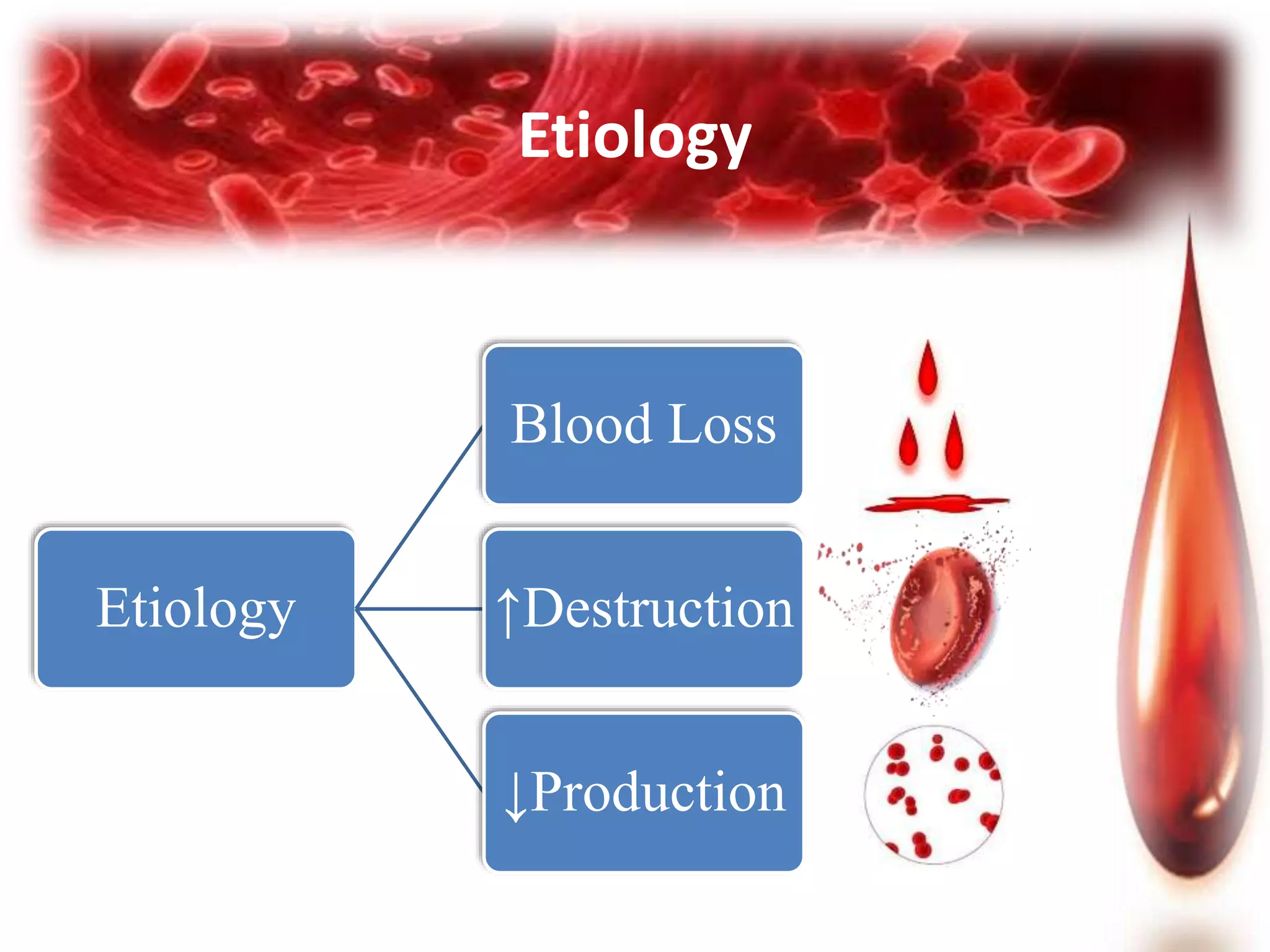 Causes of anemia | PPTX