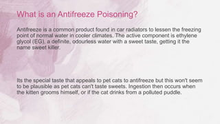Causes, Symptoms and Treatment of Antifreeze Poisoning | PPTX