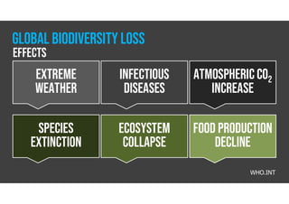 Causes of Biodiversity Loss | PDF