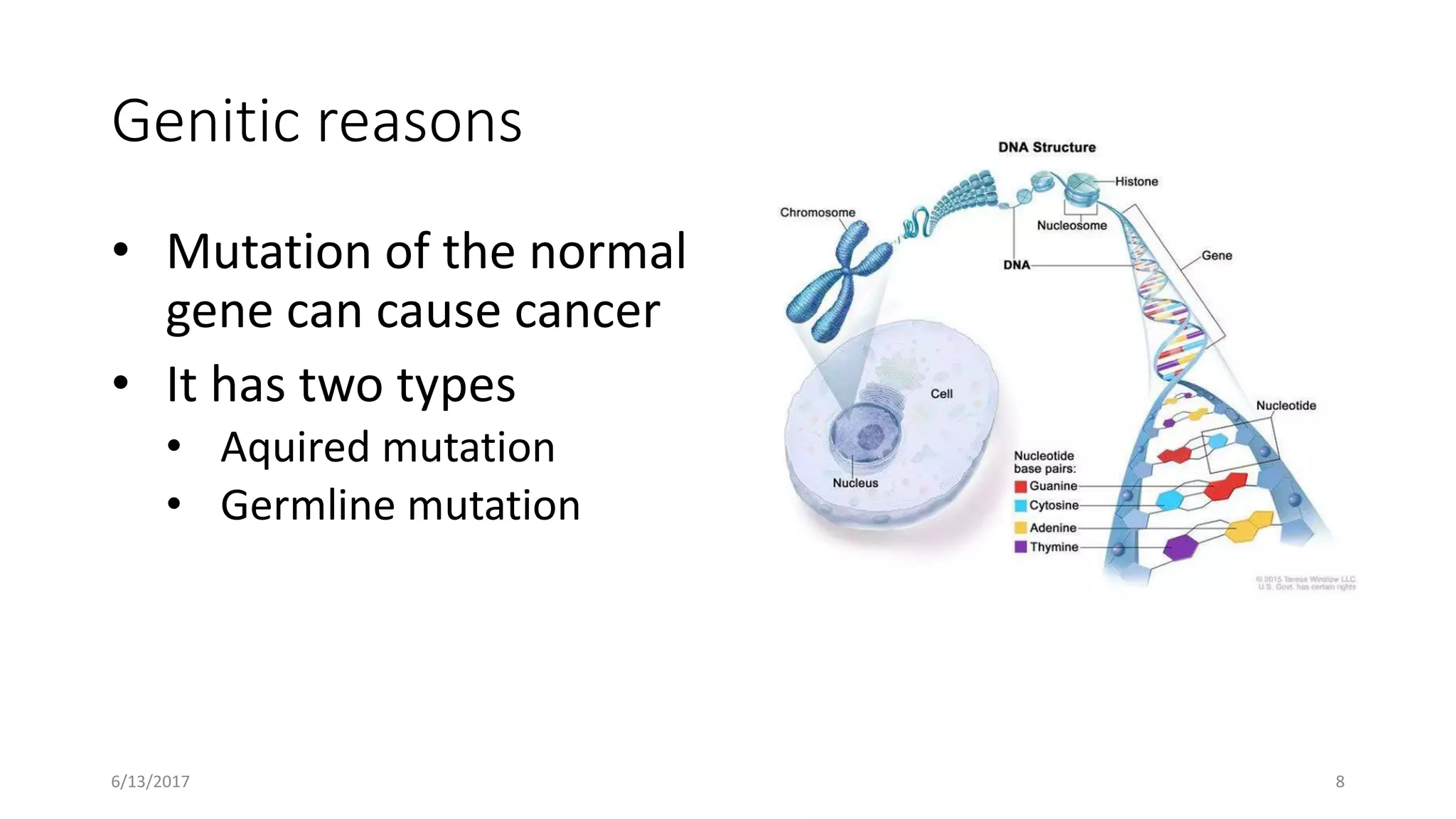 Causes of cancer | PPTX