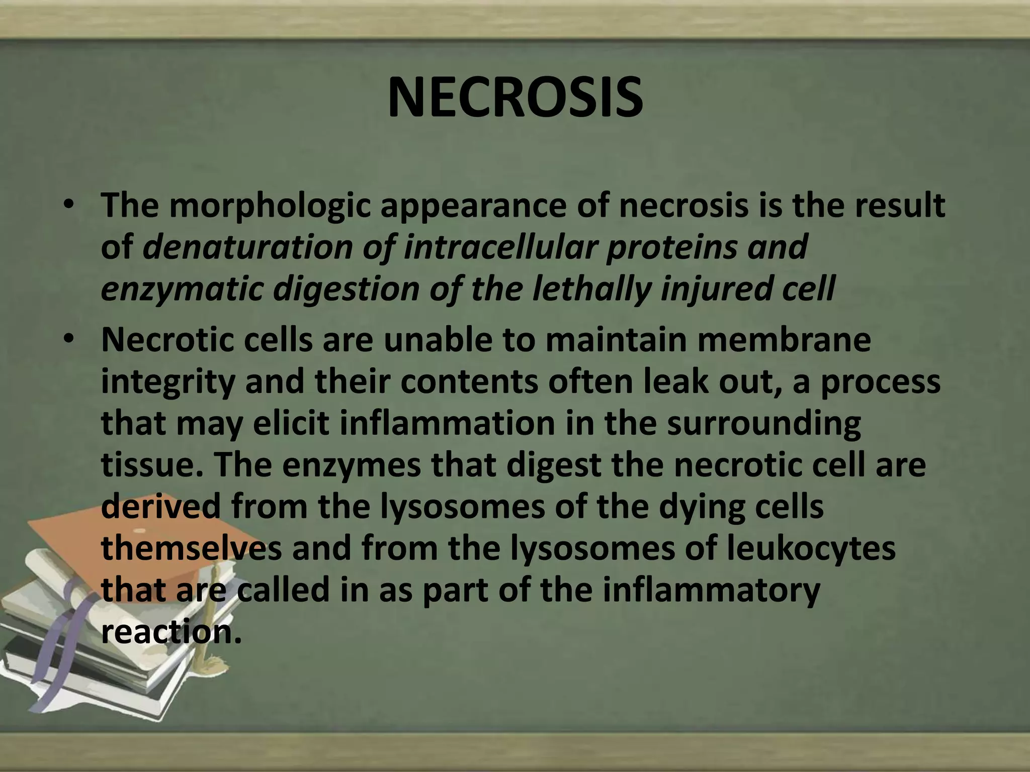 Causes of cell injury | PPTX