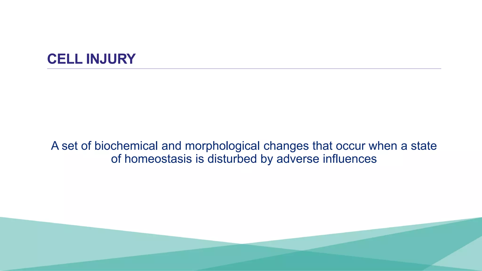 Causes of cell injury | PPTX