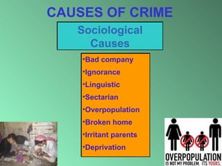 Causes of crimes | PPT