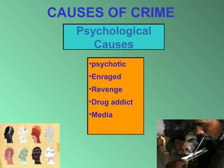 Causes of crimes | PPT