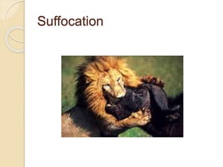 causes of death.pptx