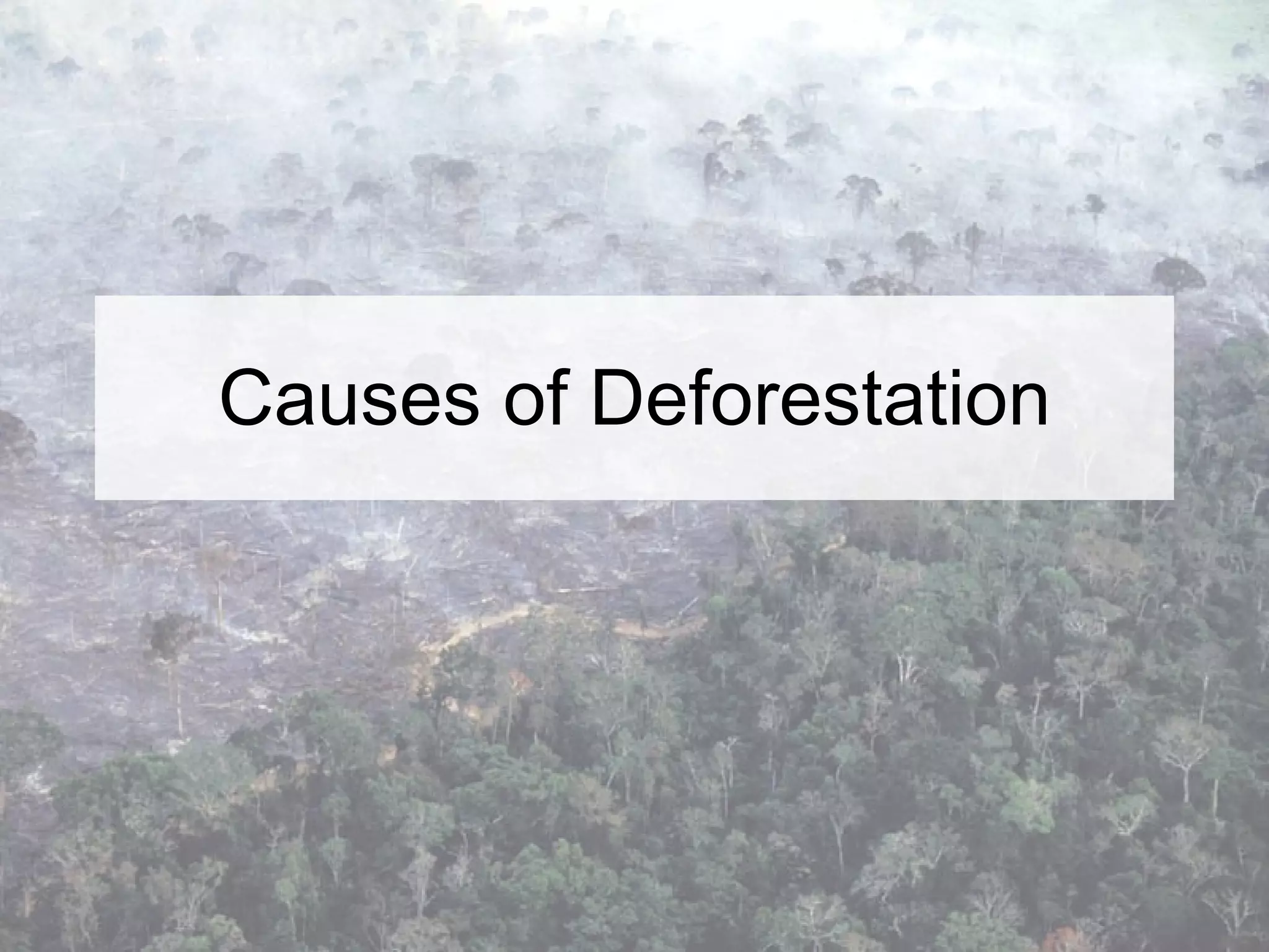 Causes Of Deforestation | PPT