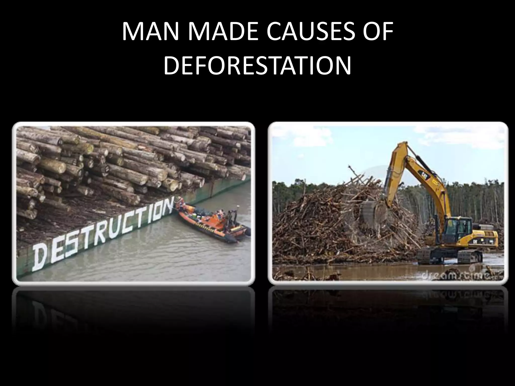 Causes of deforestation | PPT