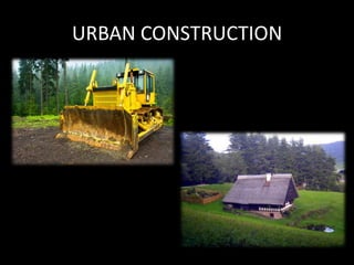 Causes of deforestation | PPTX