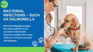 Causes of Diarrhea in Dogs.pdf