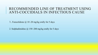 Causes of diarrhoea in cattle and treatment | PPTX | Infectious ...