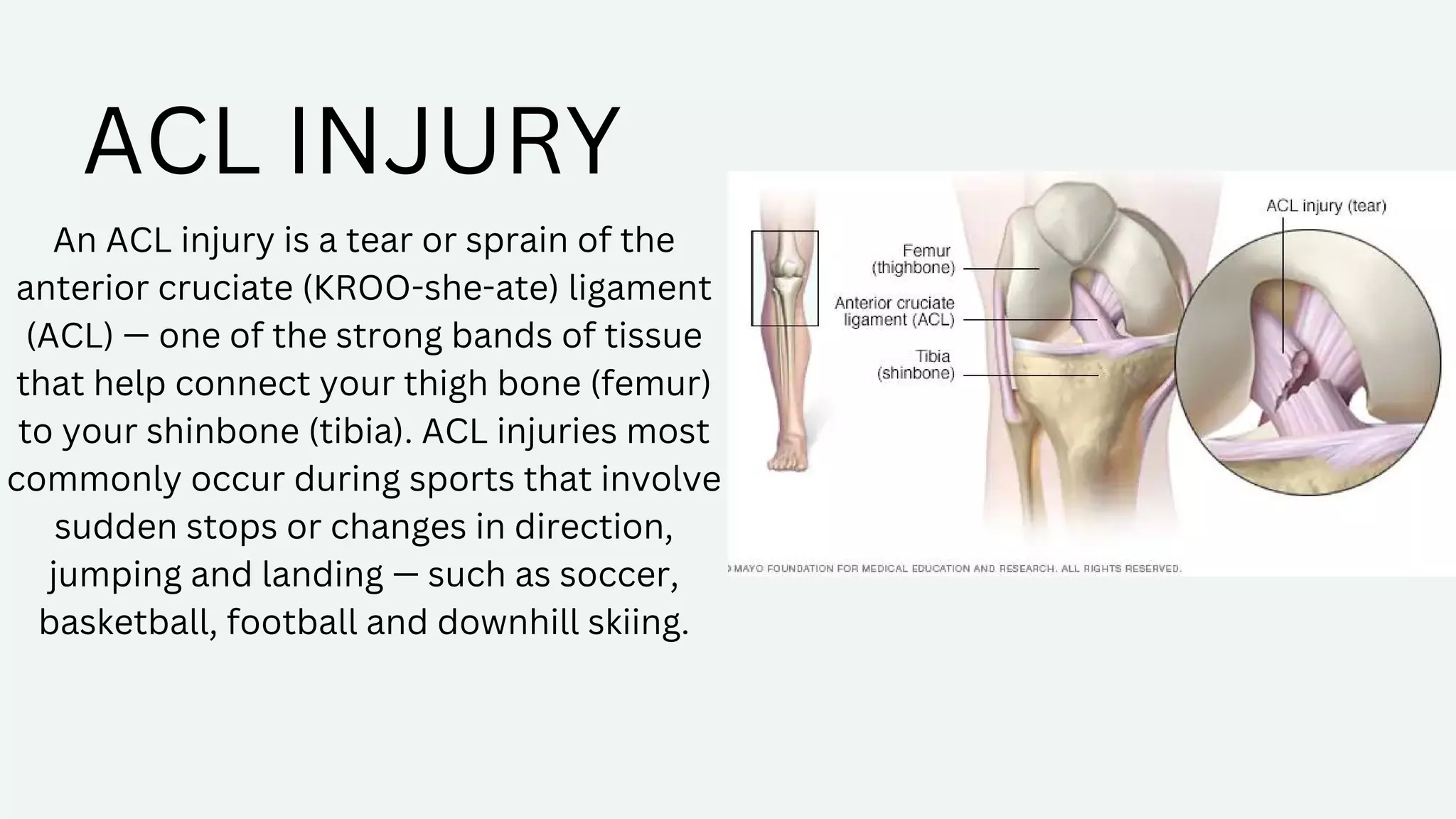 Causes of Elbow Pain | PDF
