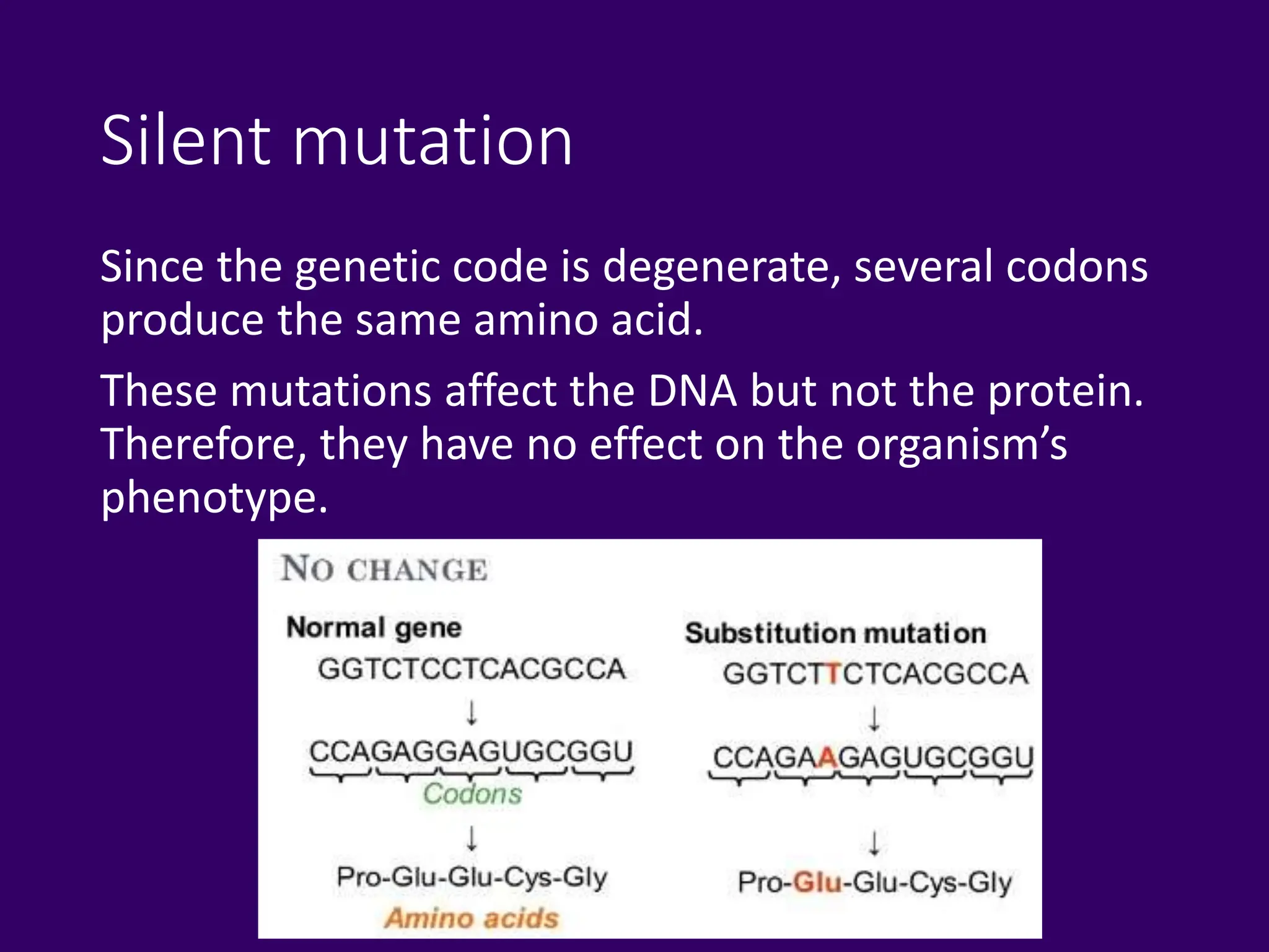 Causes of genetic disorders | PPTX