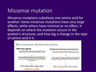 Causes of genetic disorders | PPTX