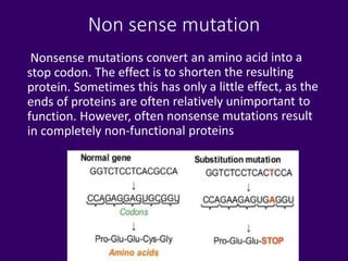 Causes of genetic disorders | PPTX