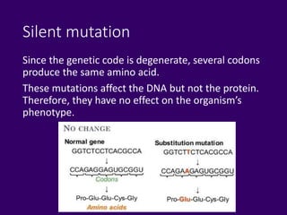 Causes of genetic disorders | PPTX