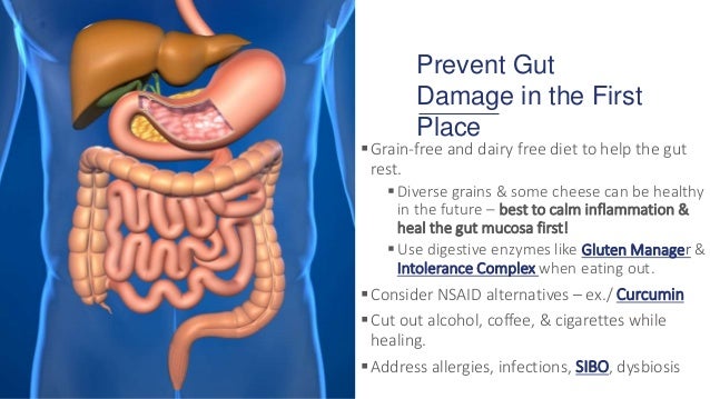 Causes of Damage to the Gut Lining - How to Support Leaky Gut Natural…