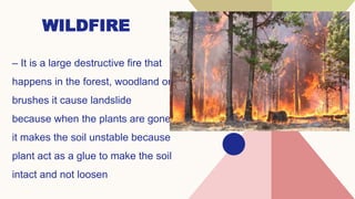 CAUSES OF HAZARDS-WEEK2.pptx