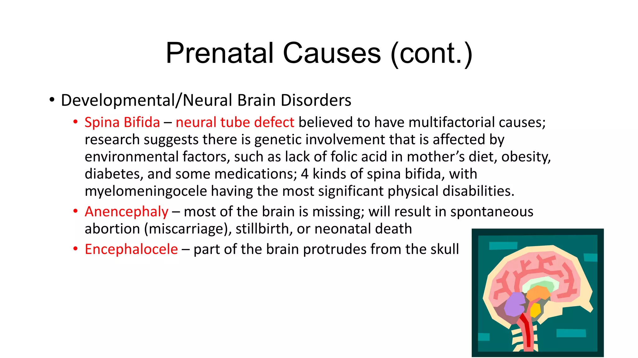 Causes of intellectual disability chpt 2 | PPT