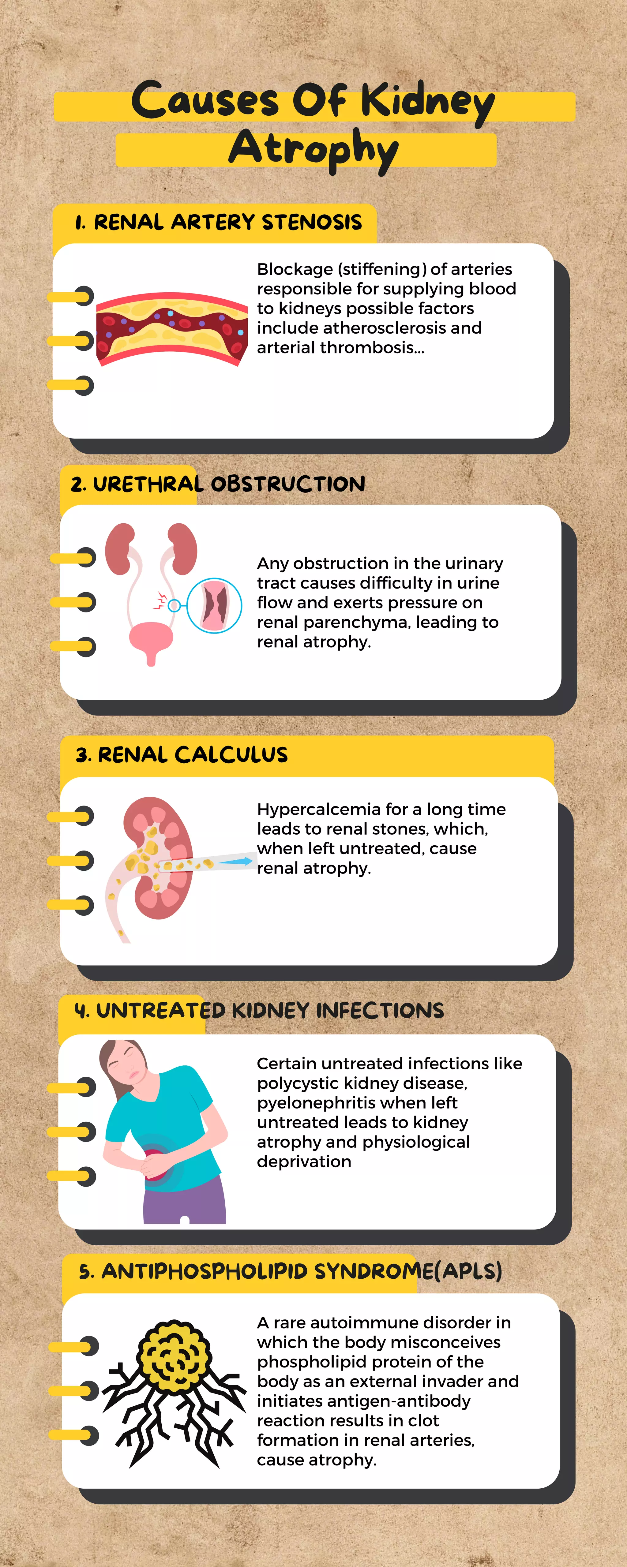 causes of kidney atrophy.pdf