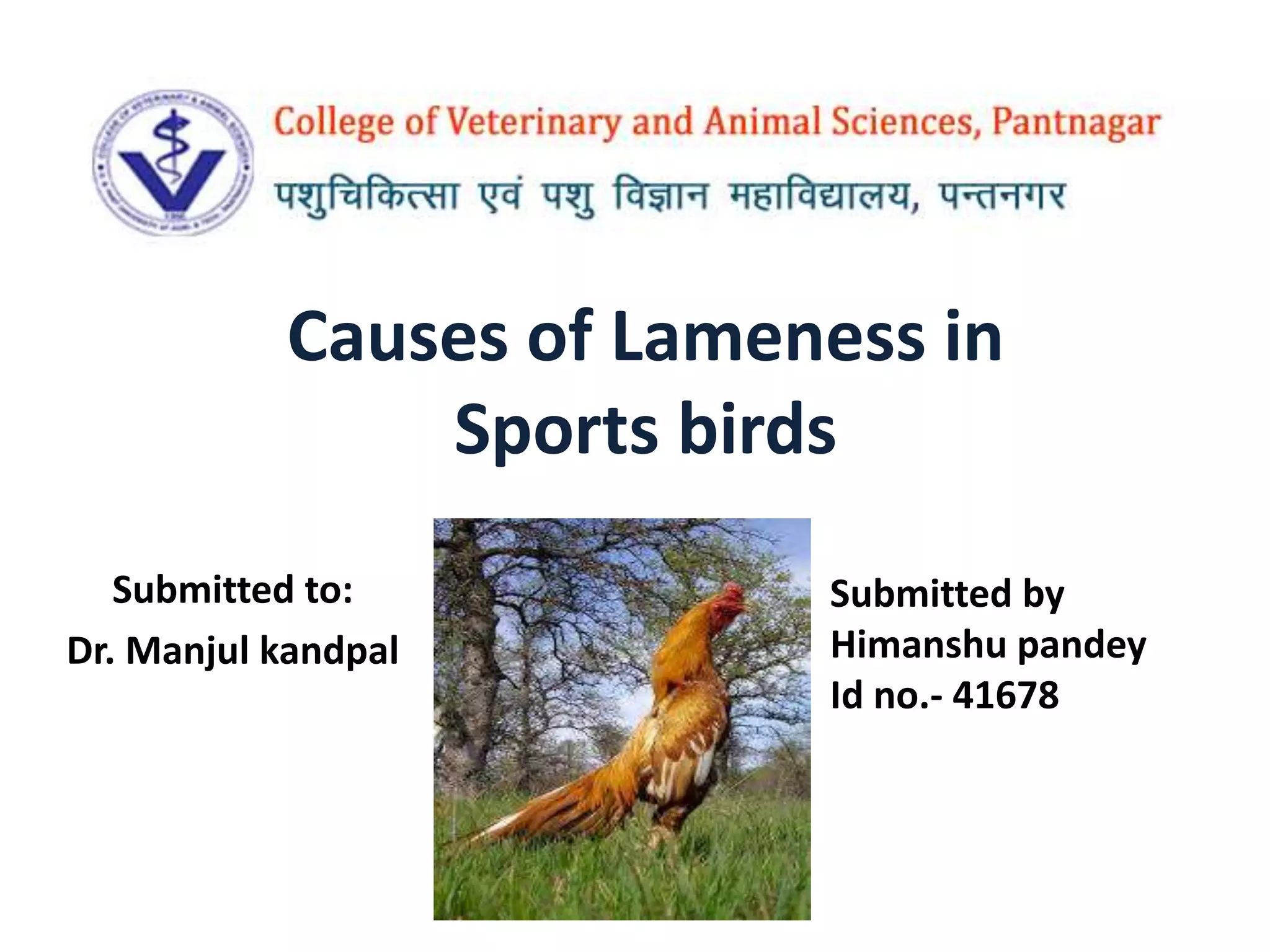Causes of lameness in sport birds | PPTX | Infectious Diseases | Diseases and Conditions